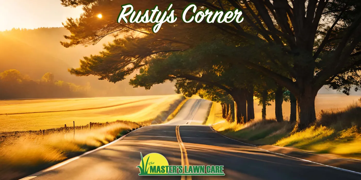 Two Choices that Fuel Optimism and Action | The Masters Lawn Care